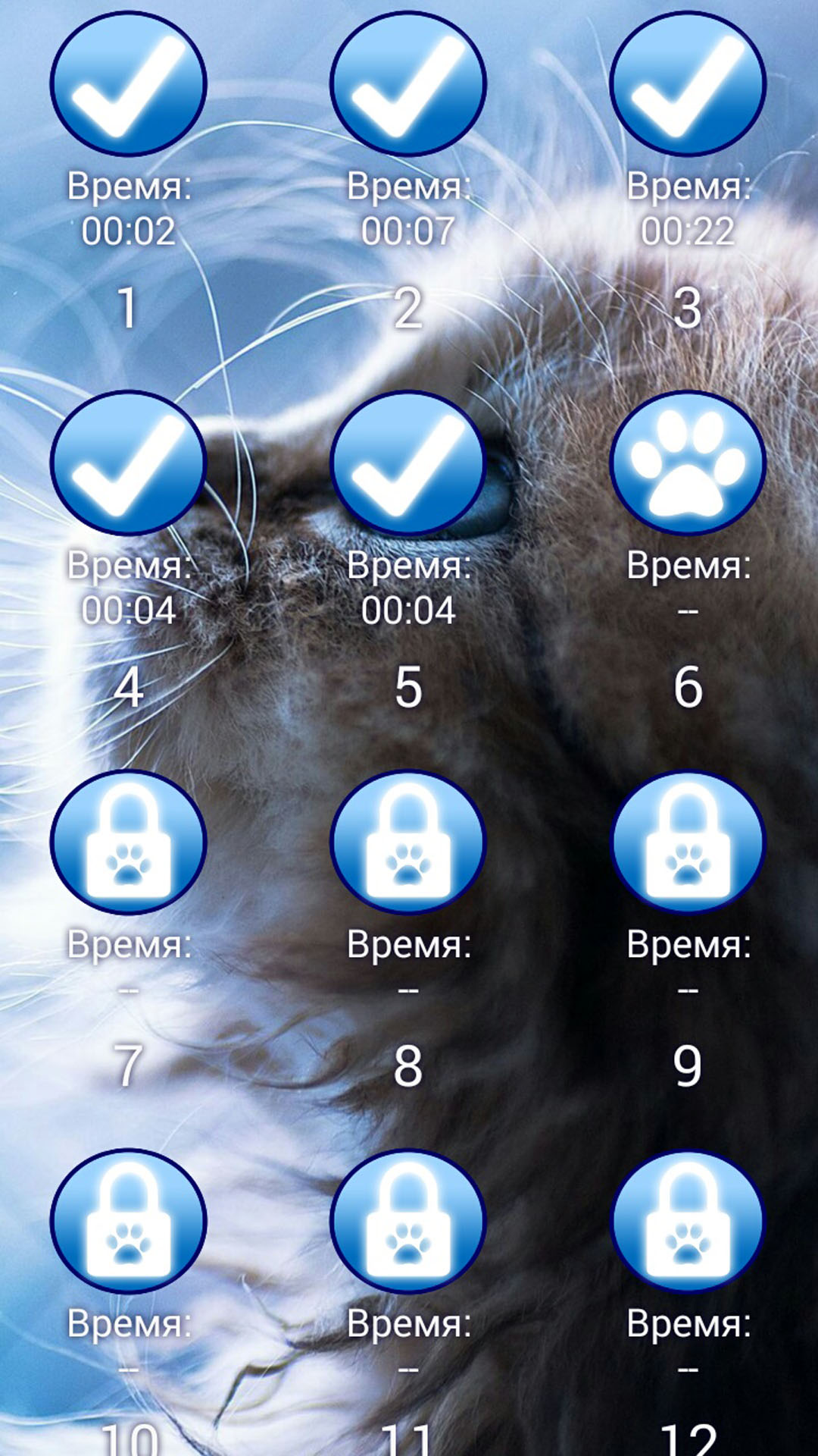 Найди кота 3